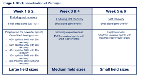 Raymond Verheijen and His Block Periodization Explained | JOHAN Sports